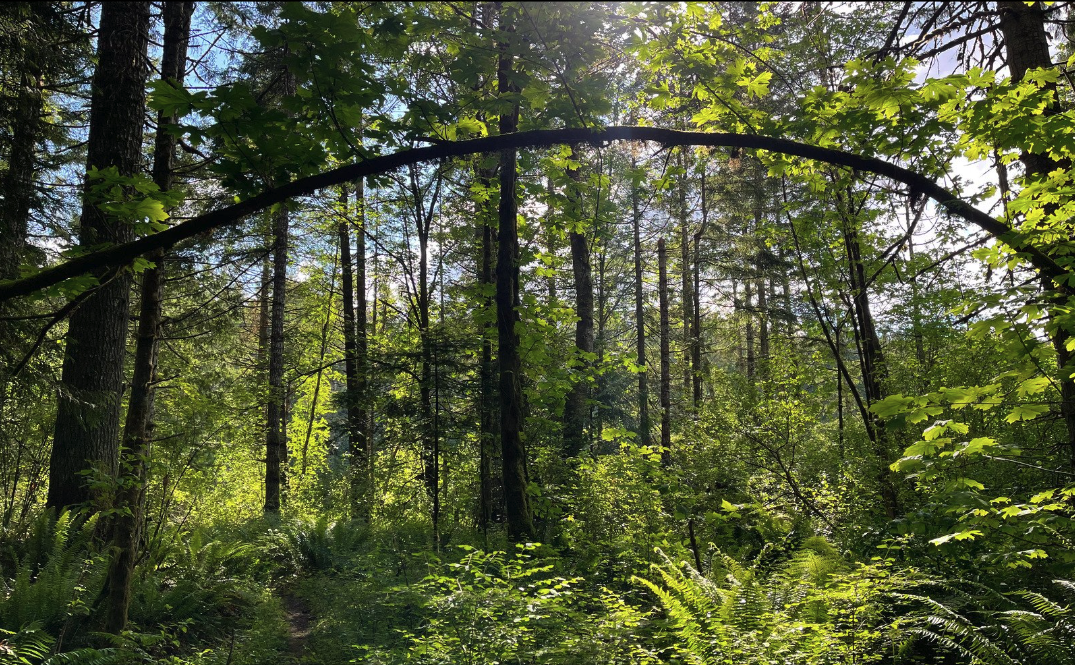 return to your heart - Cinnamon Gypsea